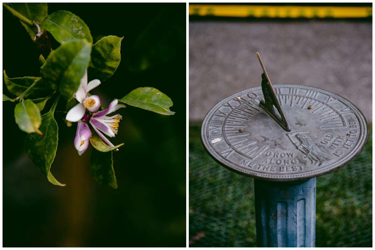How this private residence became San Francisco's Fay Park
