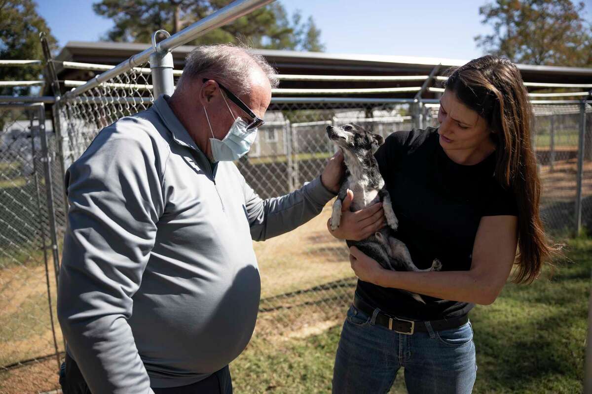 Woodlands man shares passion for pooches through rescue center in Tomball