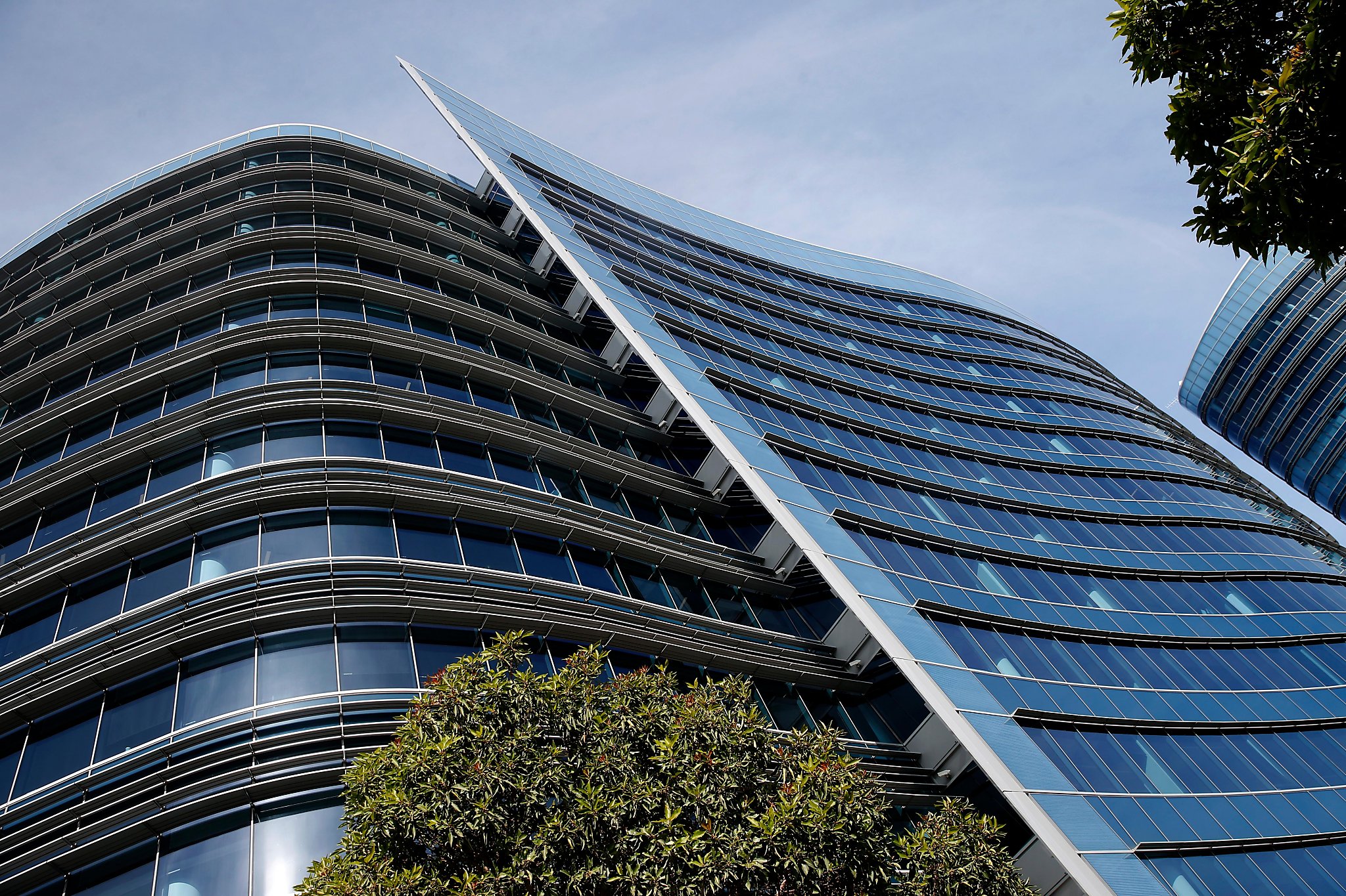 Why biotech is a bright spot in the Bay Area’s battered economy