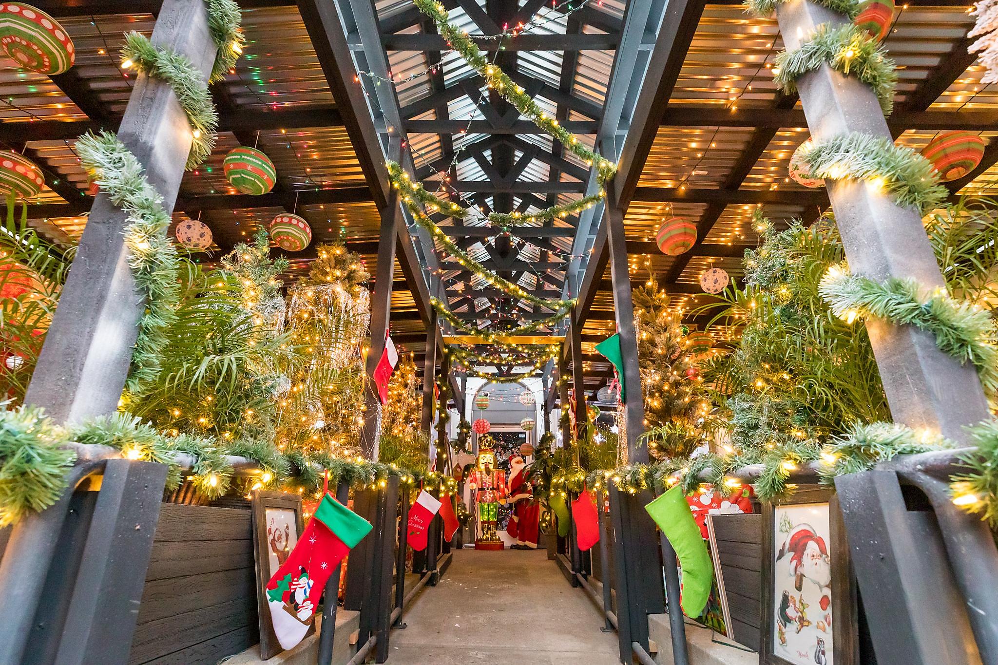 San Francisco's Pacific Cocktail Haven embraces the holiday season ...