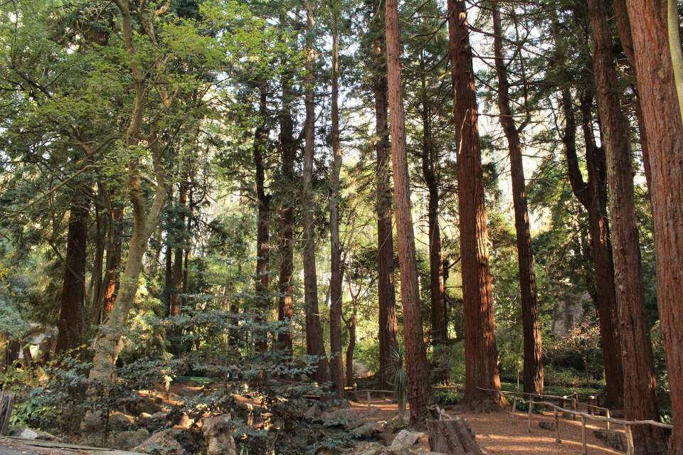 Squatters, shootouts and music: The wild history behind Stern Grove