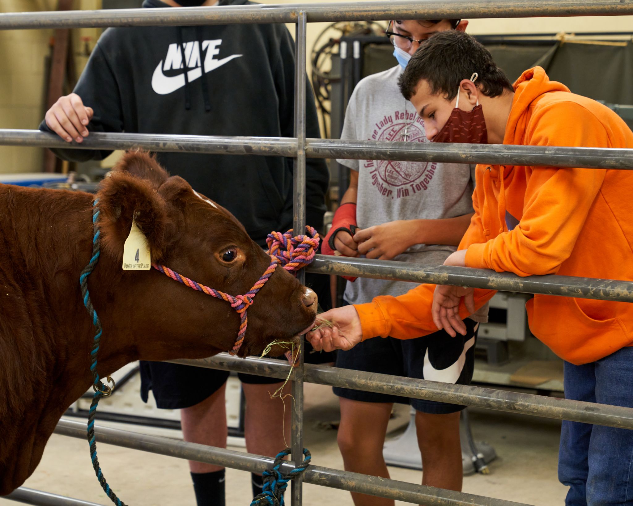 Ag science ‘more than plows, cows and sows’