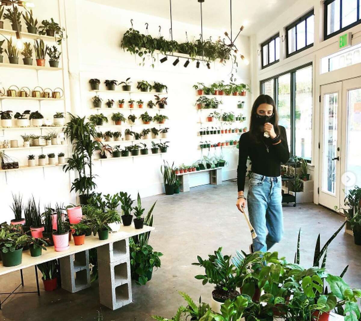 'Connecting you to nature one plant at a time': Pop-up plant shop opens ...