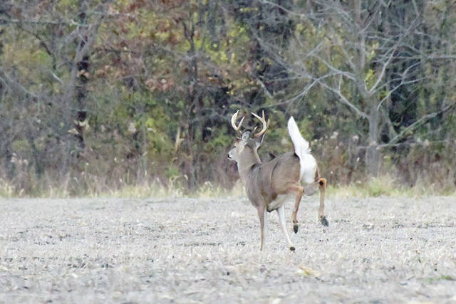 Reader photo: Passing the buck