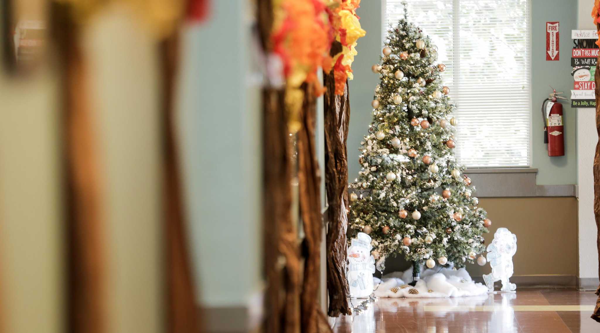 Opinion: A shadow pandemic — domestic violence survivors need help now ...