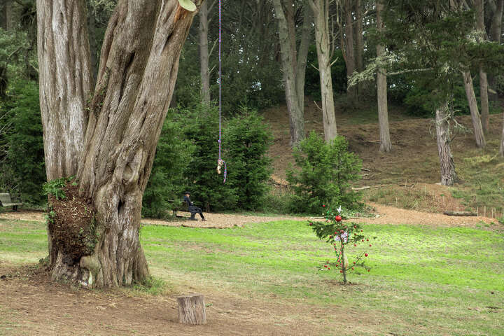 A map of swings with views in the Bay Area