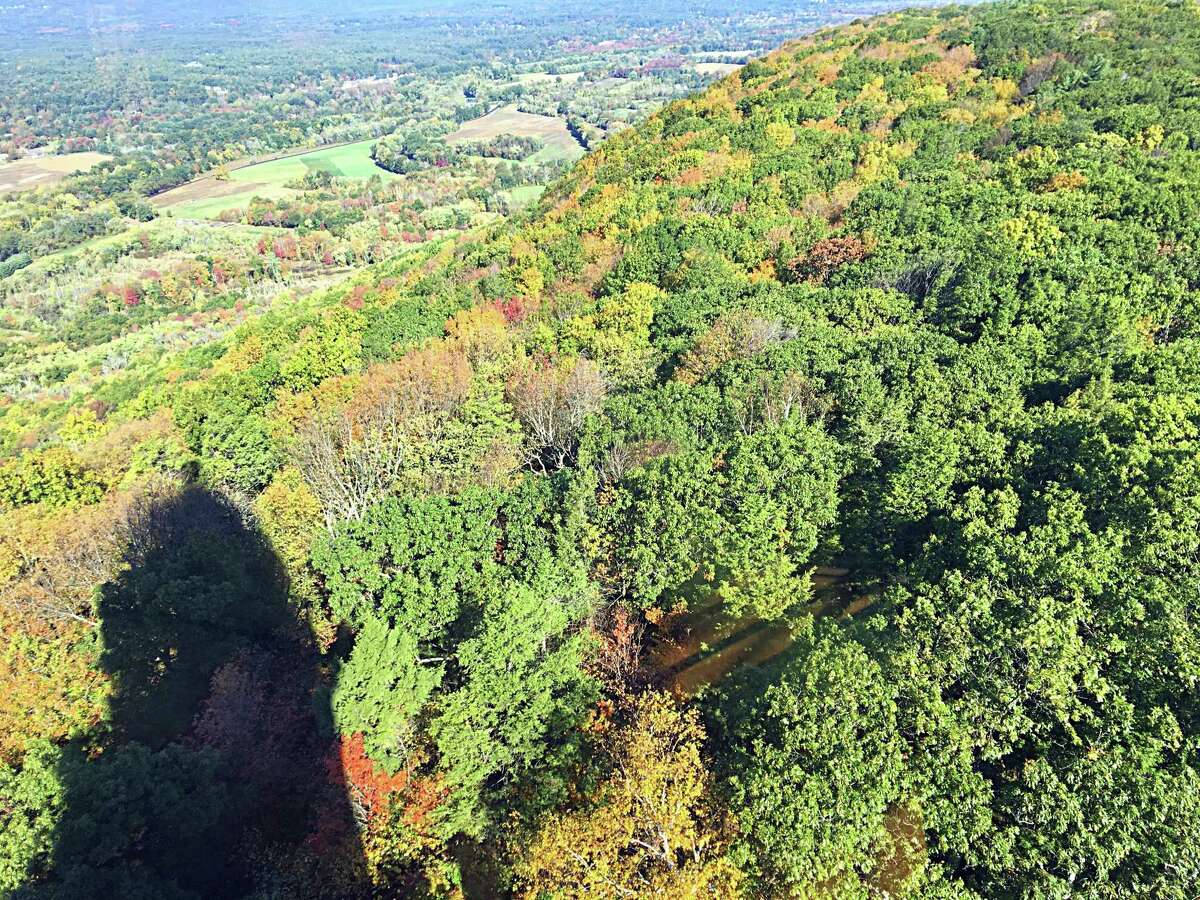 What you may not know about Connecticut’s forests
