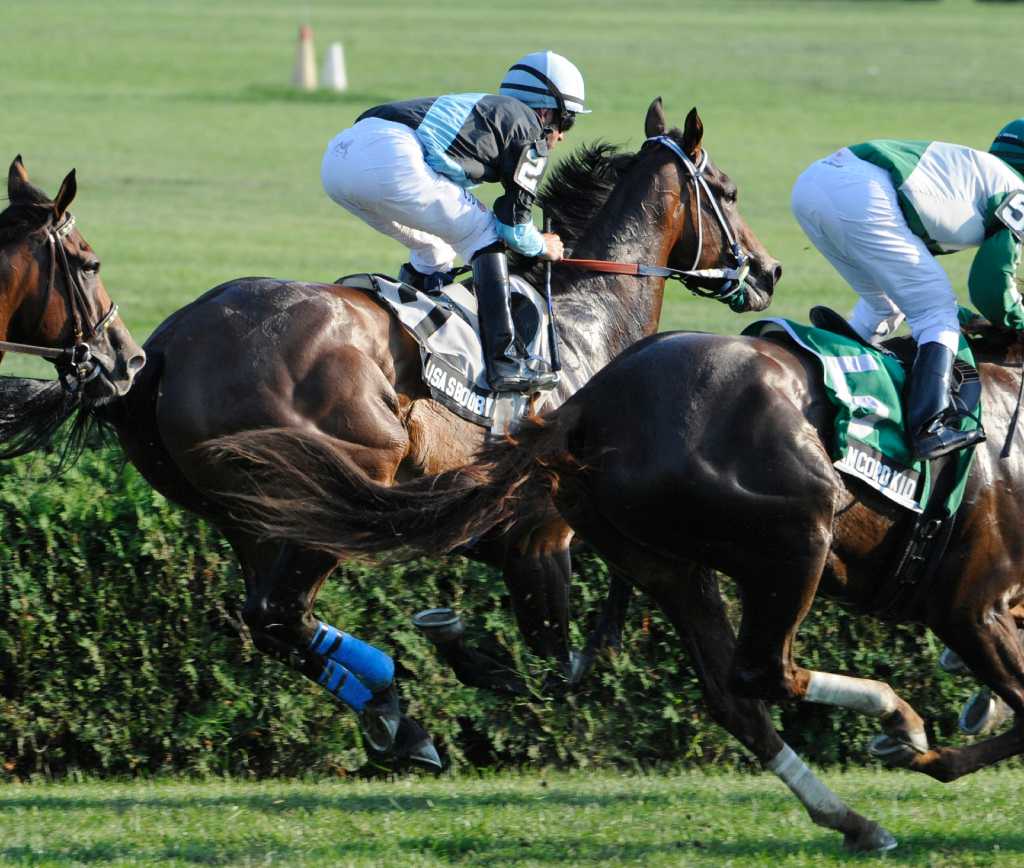 Grass trip is unpleasant