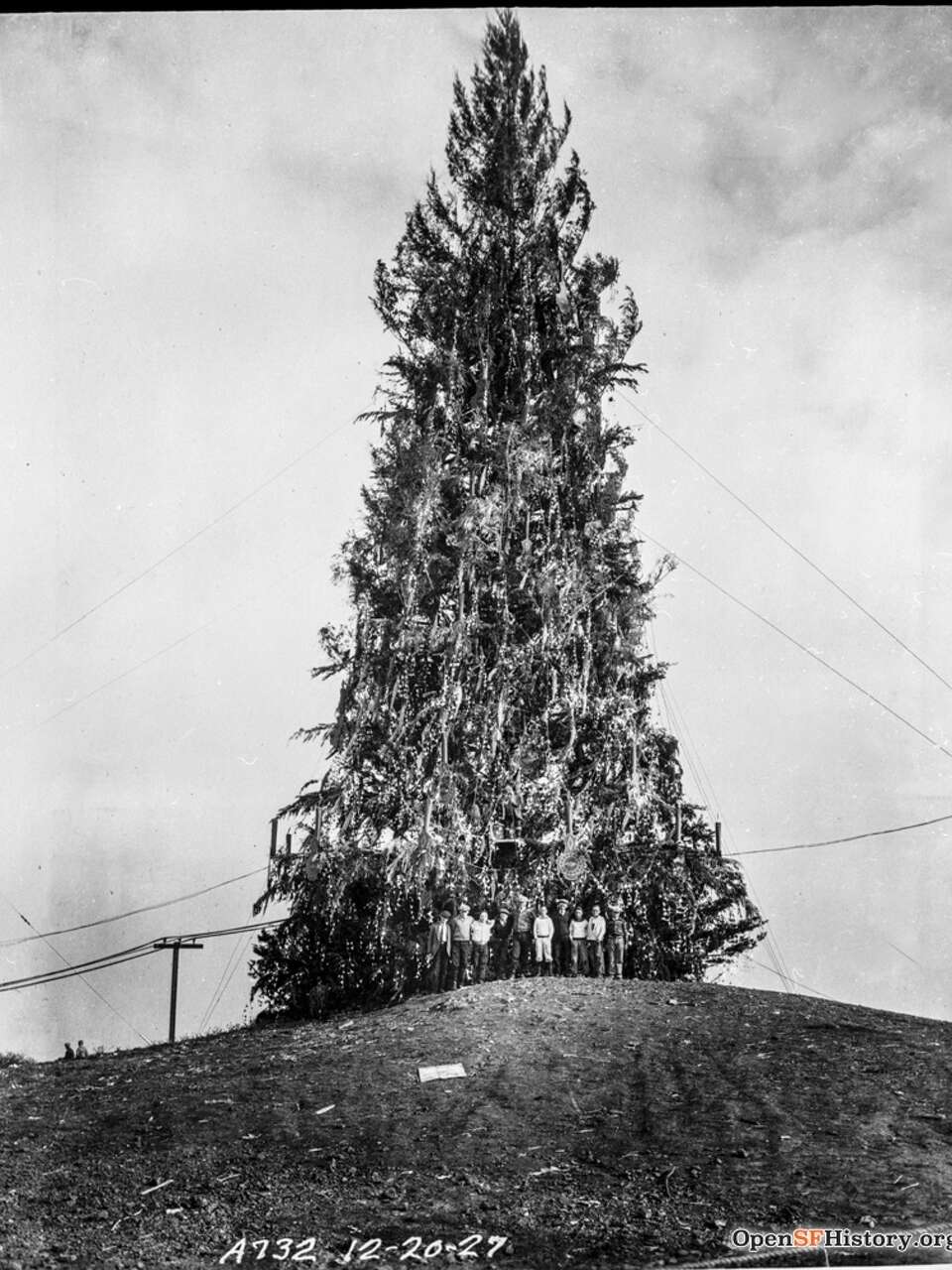 San Francisco's official Christmas tree isn't where you think it is