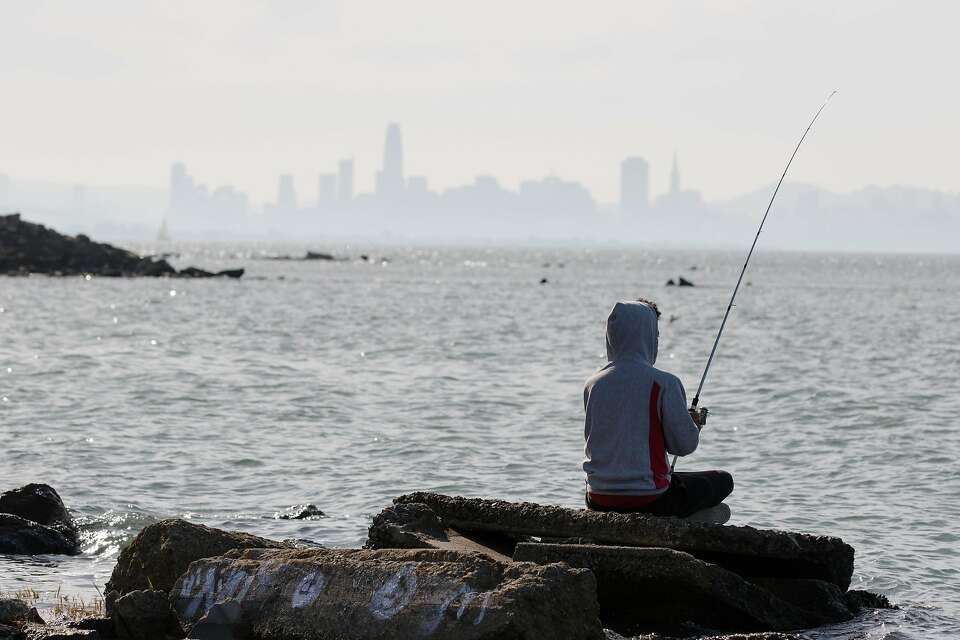 How a former dump became a popular Bay Area hiking spot