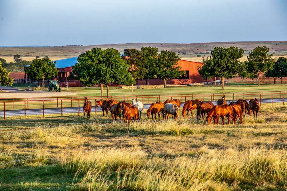 Legendary '6666' Texas ranch on the market for $192M after oil heiress ...