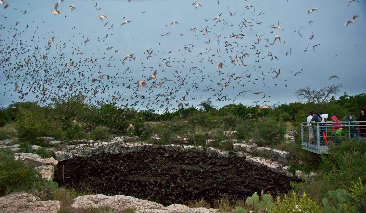 3 scenic Texas Hill Country drives to break up the boredom of this year ...