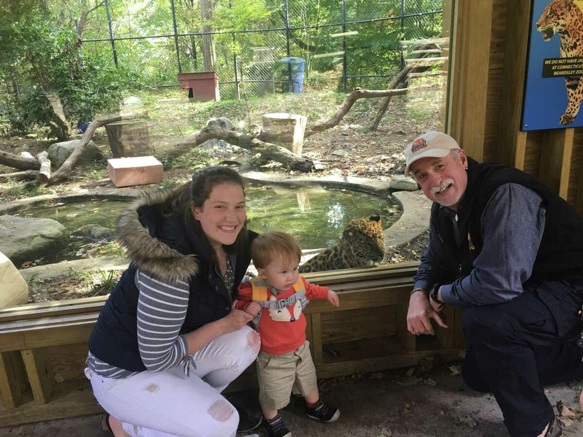 Beardsley Zoo’s new Winter Wonderland Walk a fun addition, with festive ...