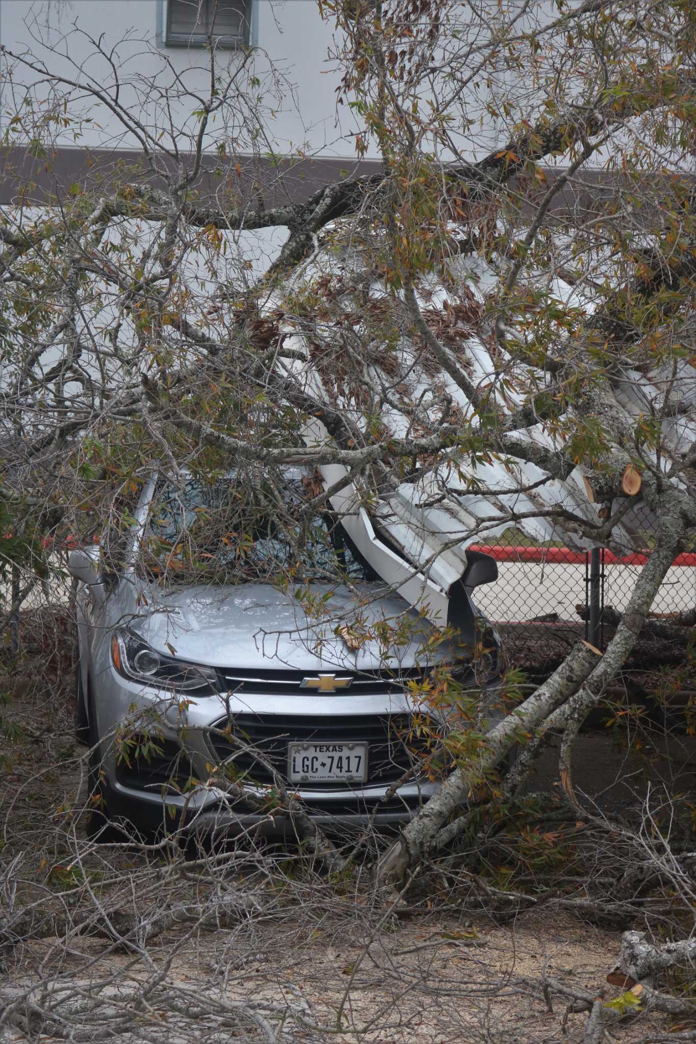 These photos show destructive power of winds Sunday in the Bay Area