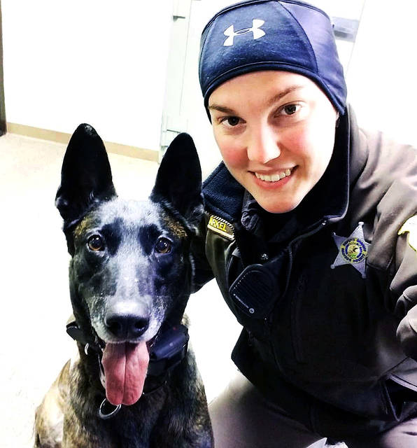 HAYES: It’s a dog’s life for former softball standout Bri Markel