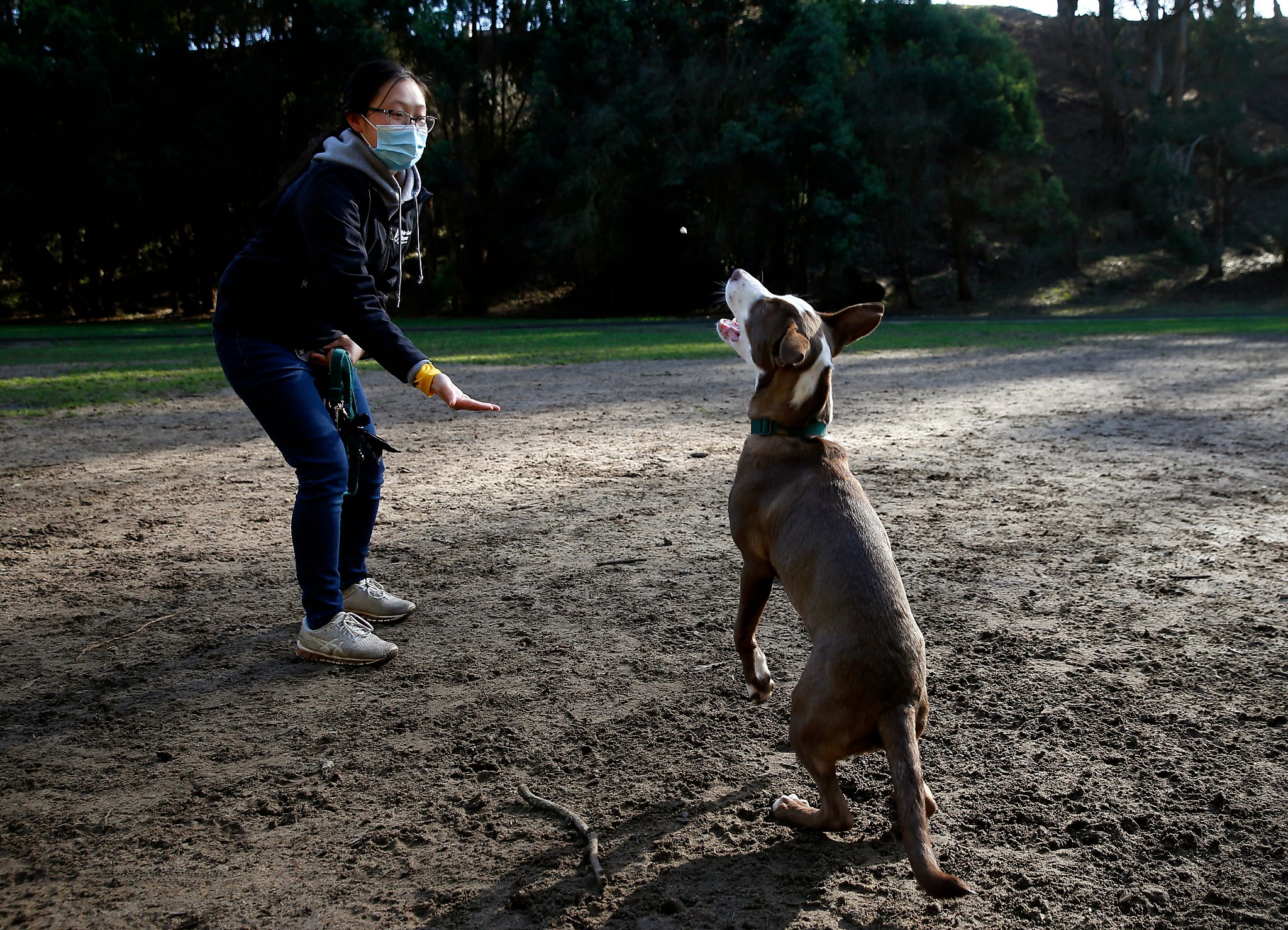 Need a friend? Get a dog — if you can find one
