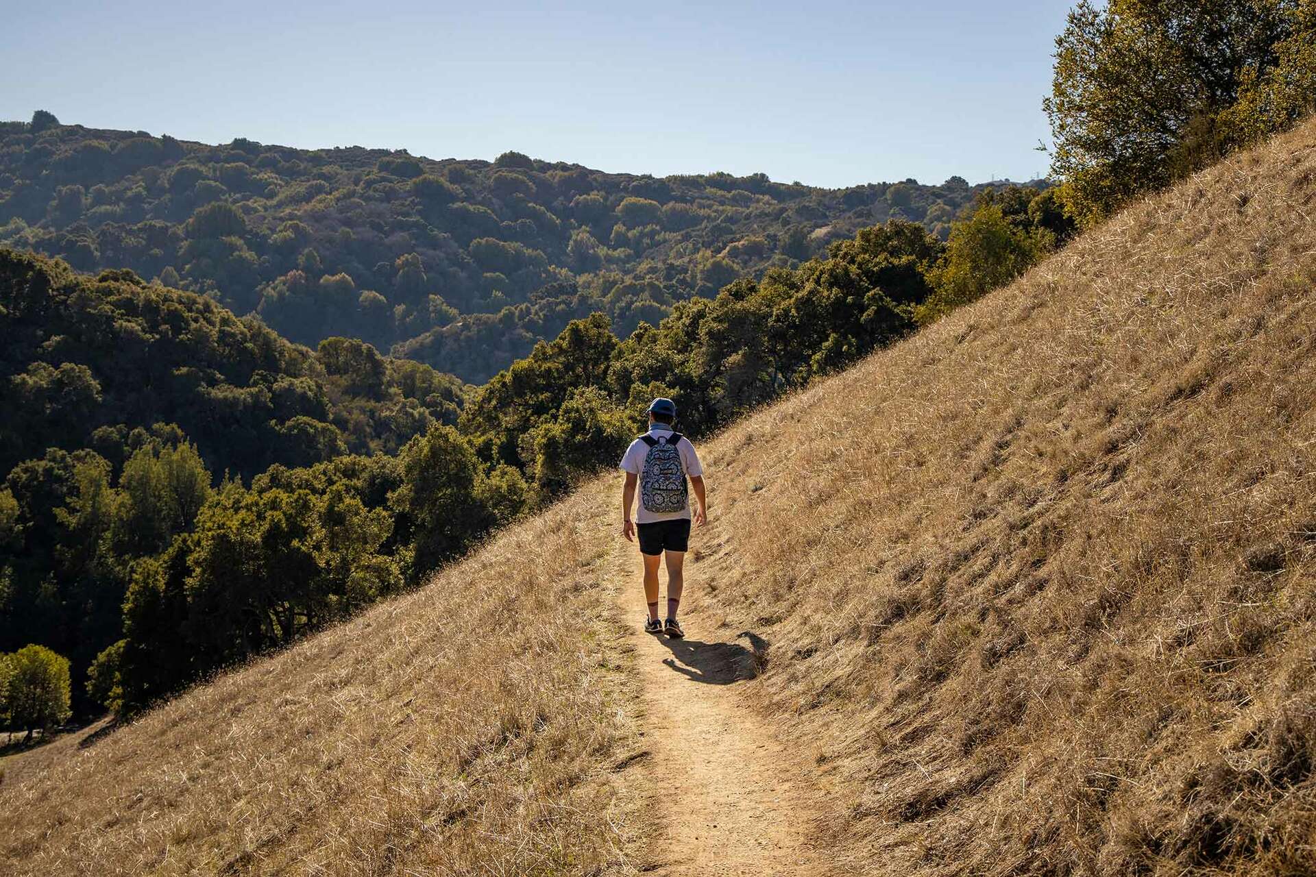 10 favorite day hikes in the San Francisco Bay Area