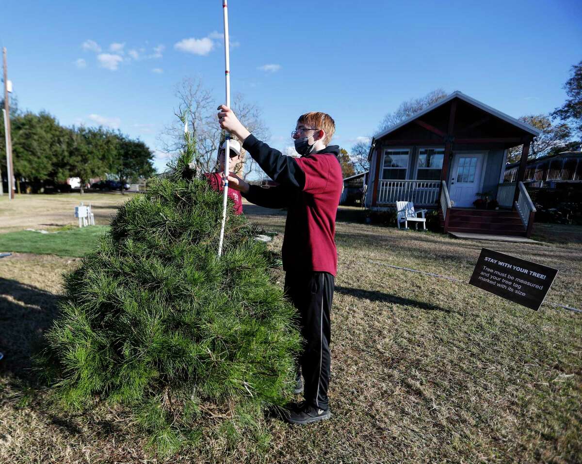 'Act like you're cutting it down and smile': A trip to a Manvel ...