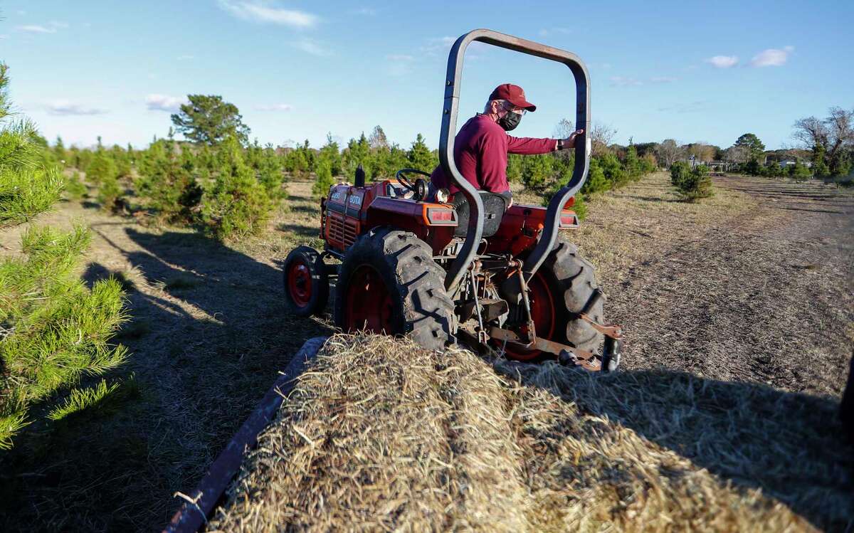 'Act like you're cutting it down and smile': A trip to a Manvel ...