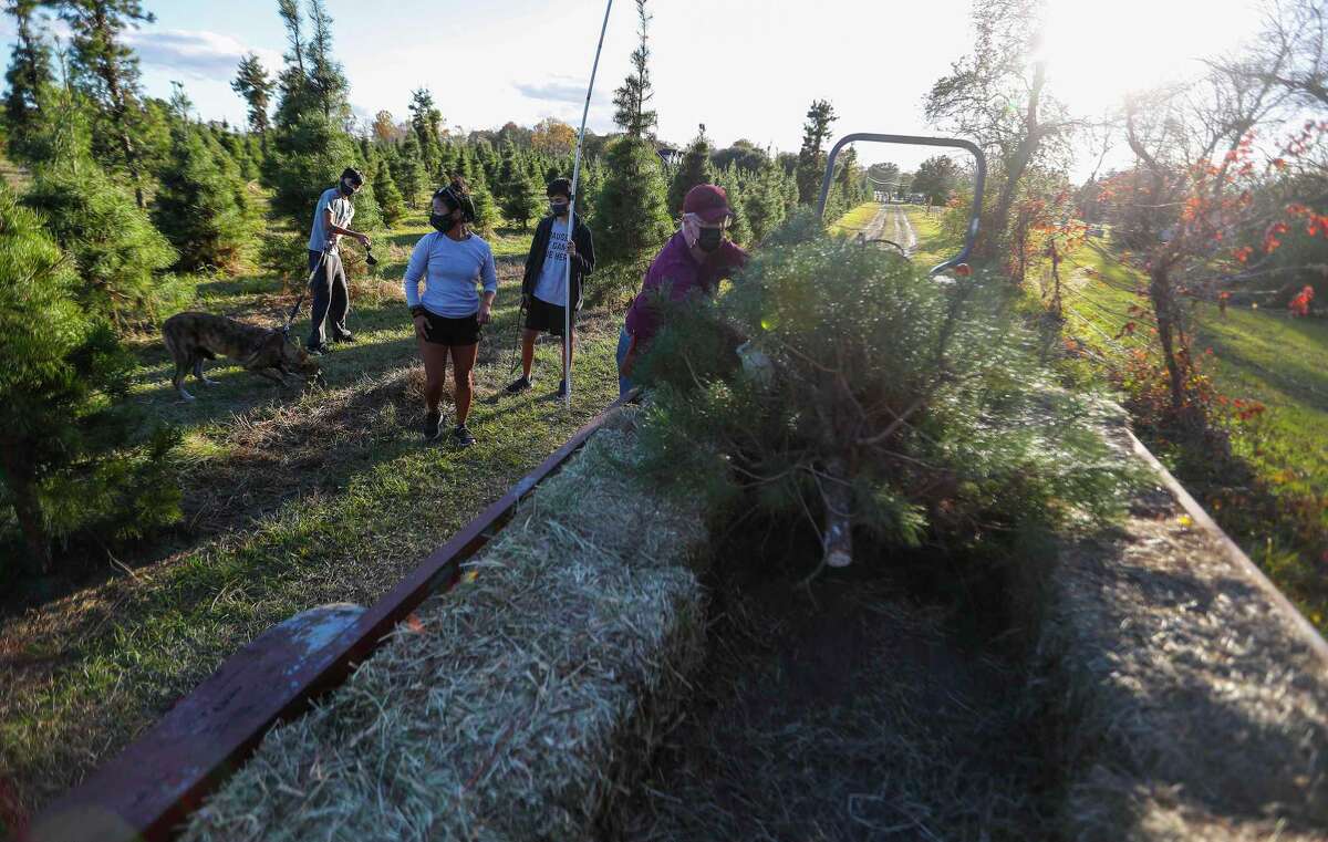 'Act like you're cutting it down and smile': A trip to a Manvel ...