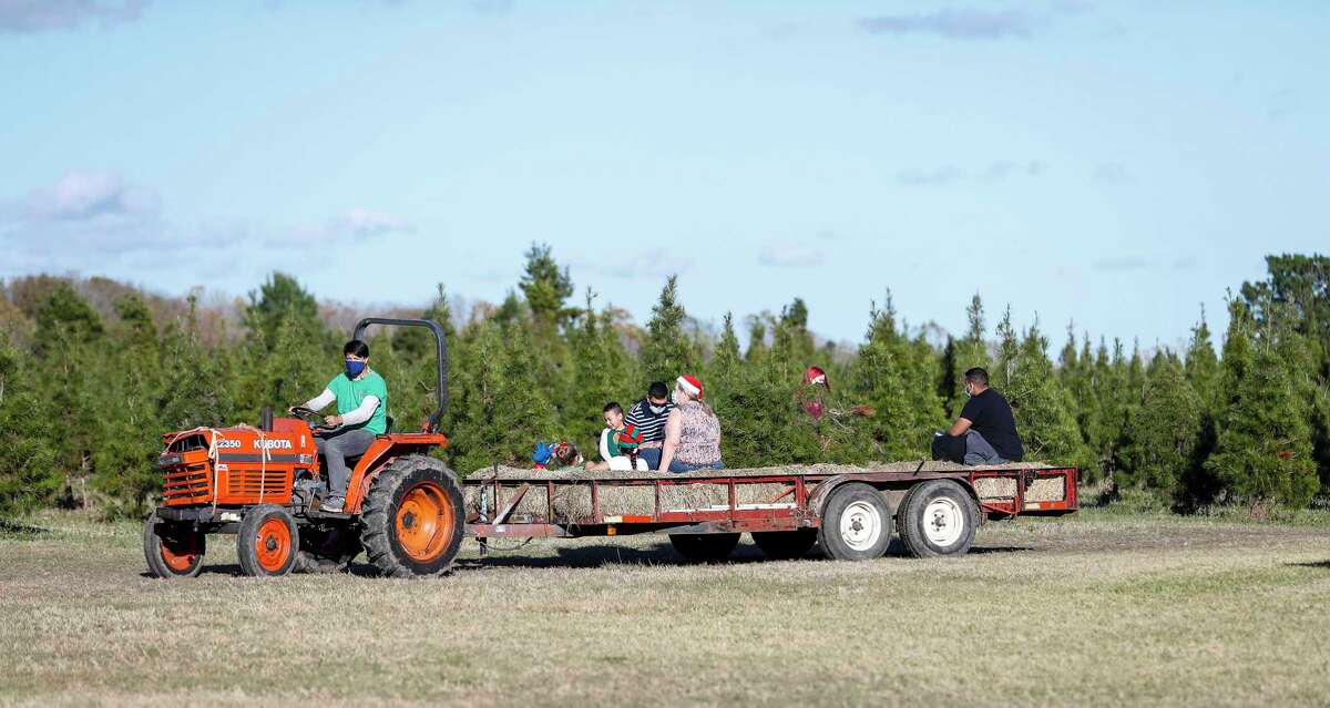 'Act like you're cutting it down and smile': A trip to a Manvel ...