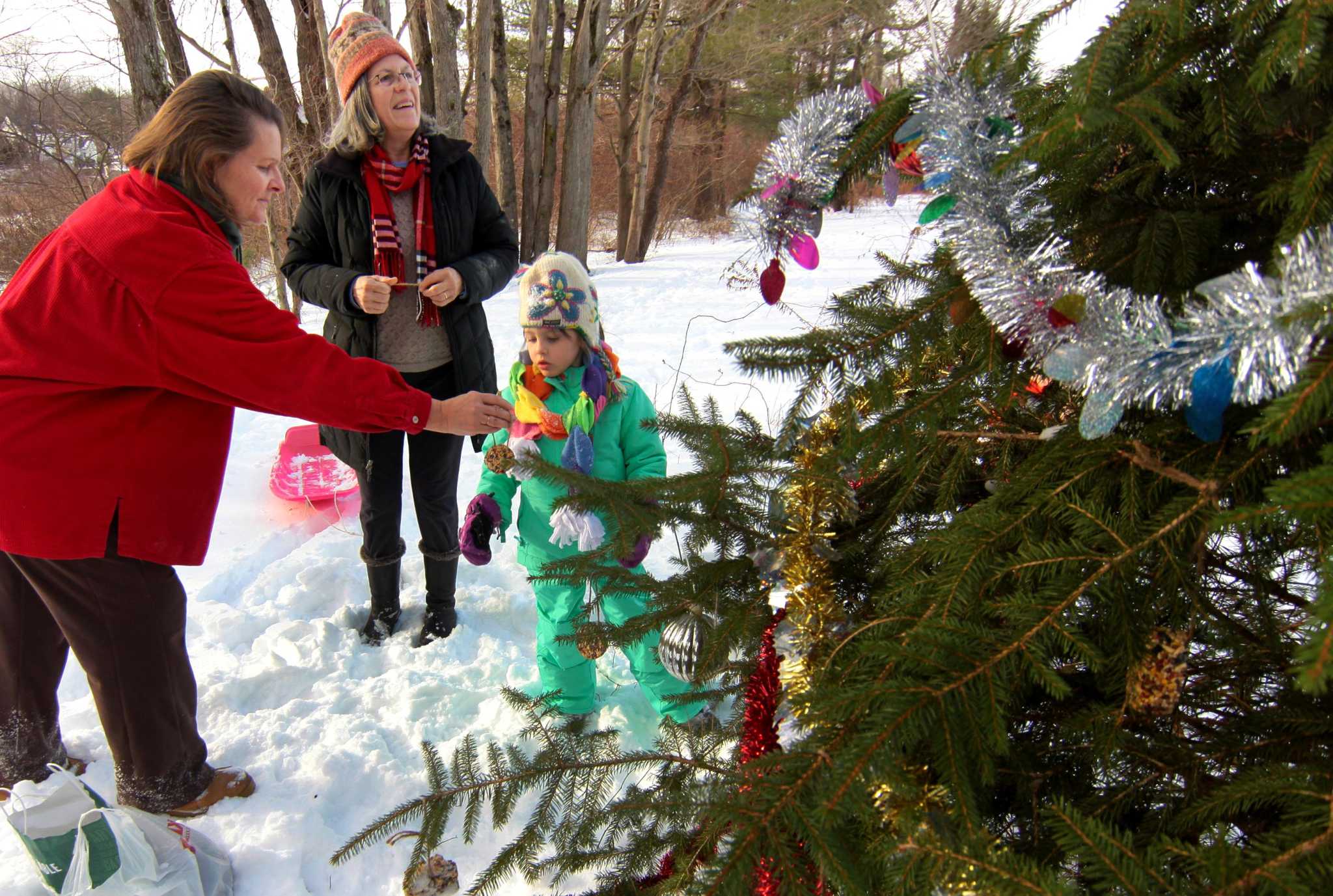 O’ feeding tree: Edible ornaments feed wild birds and animals in Shelton
