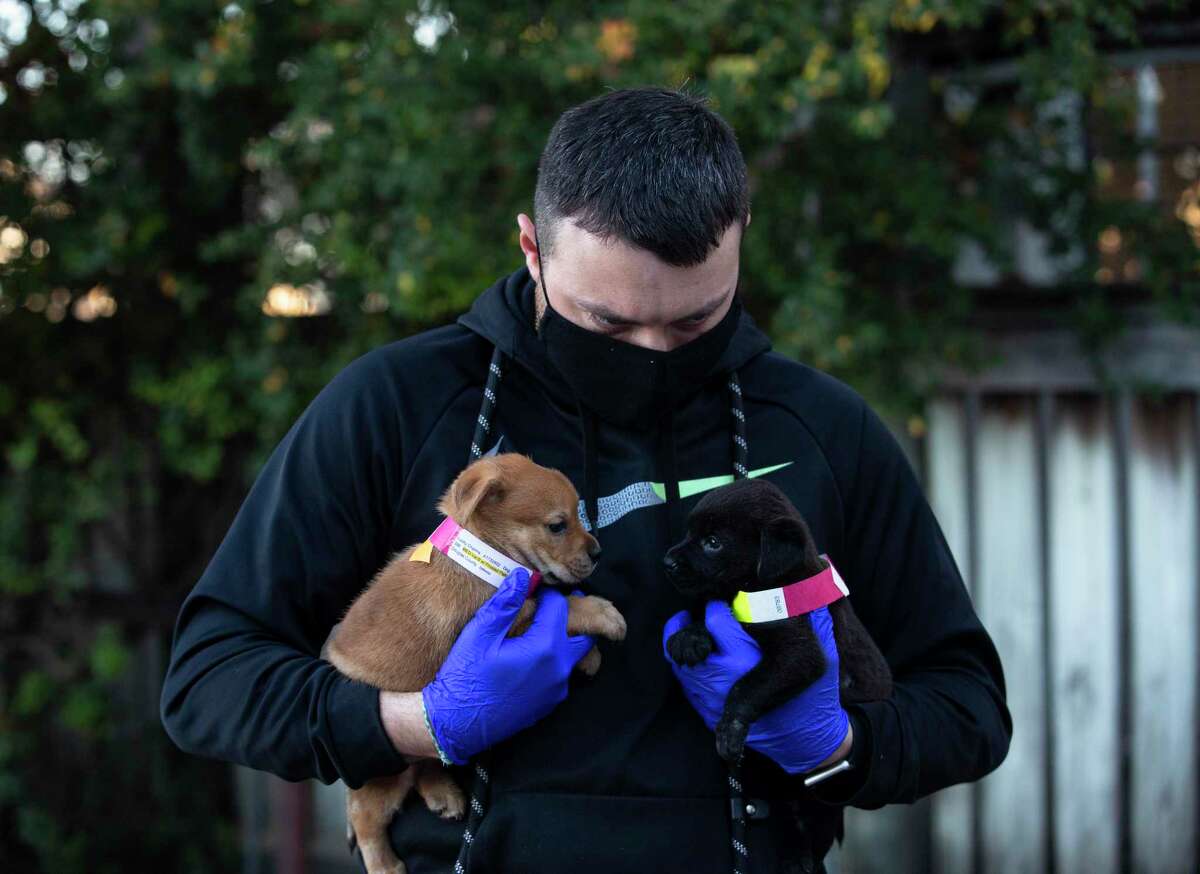 BARC sets new record in keeping animals from being euthanized