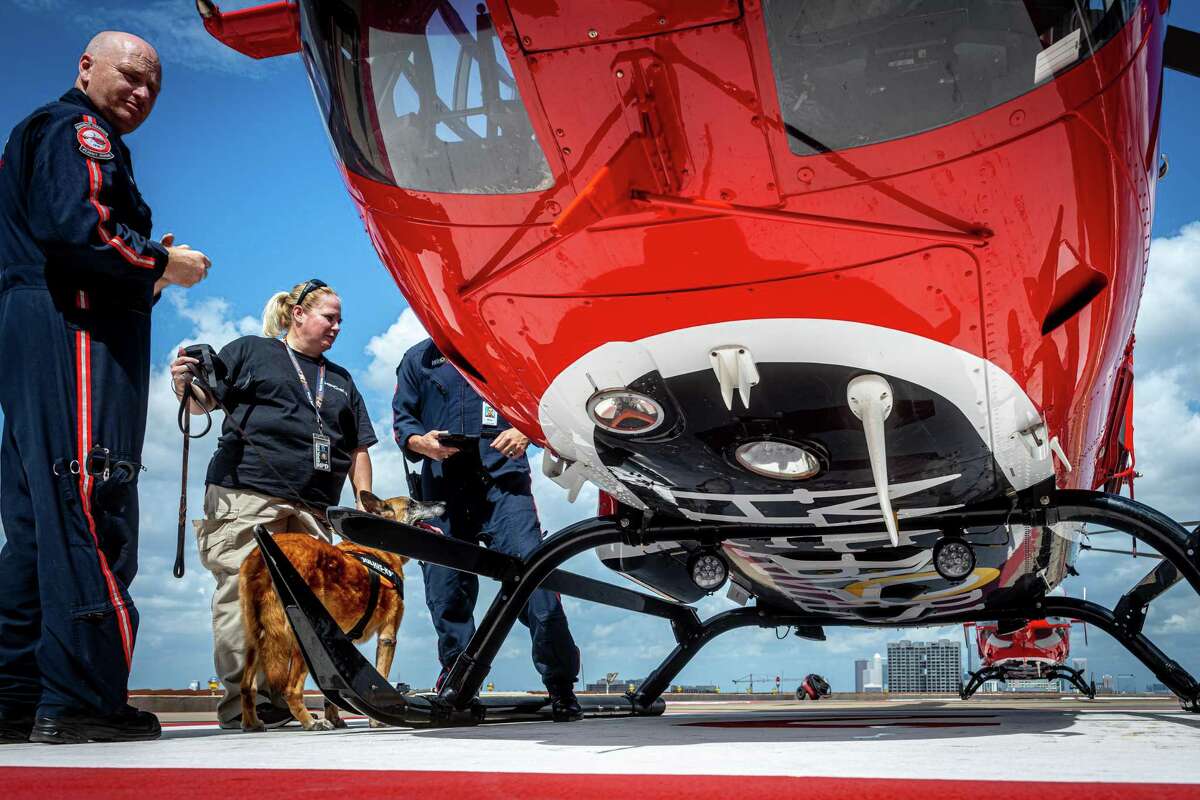 Life Flight launches emergency helicopter service for injured police dogs