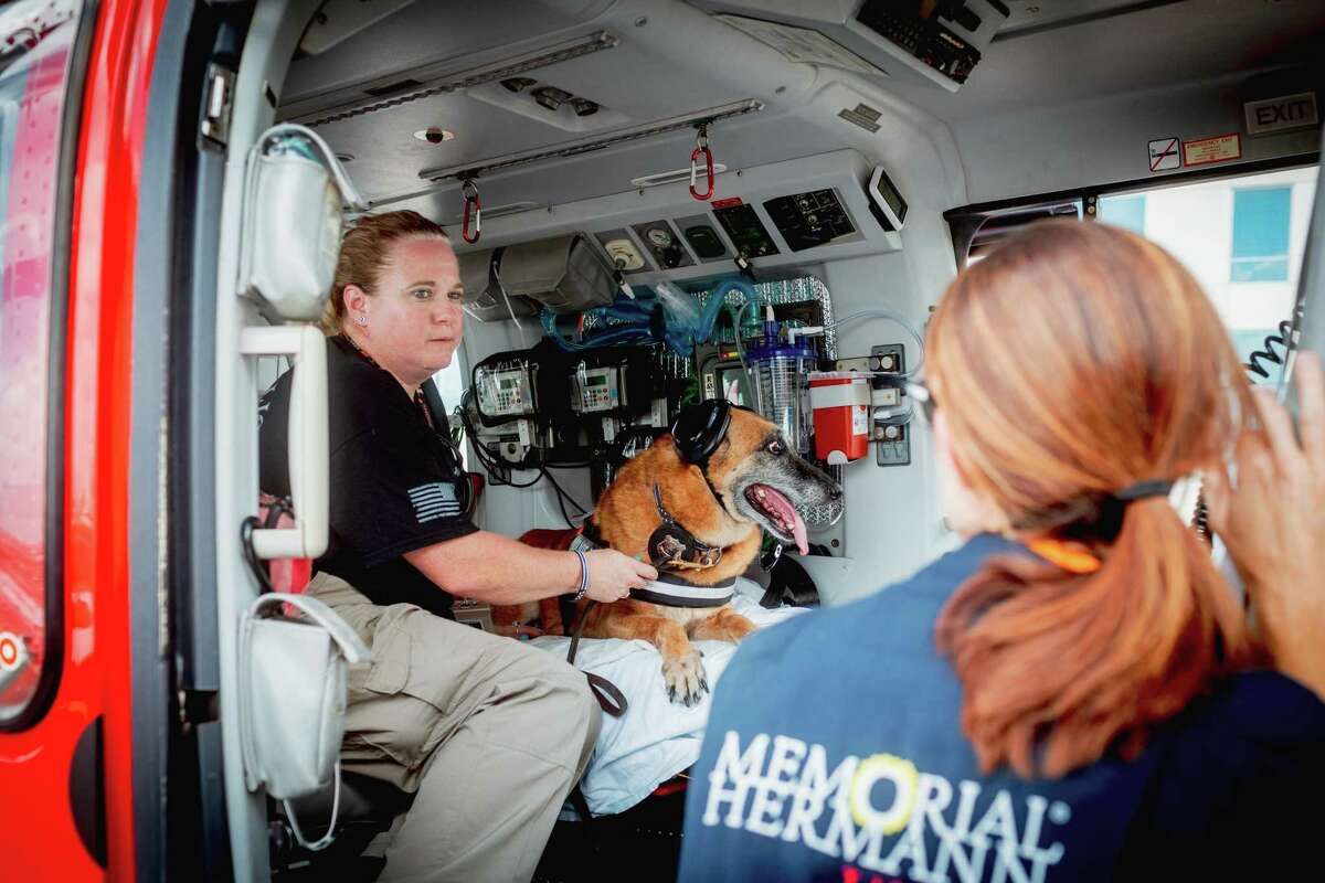 Life Flight launches emergency helicopter service for injured police dogs