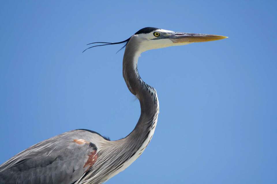 A guide to Padre Island National Seashore outdoor activities