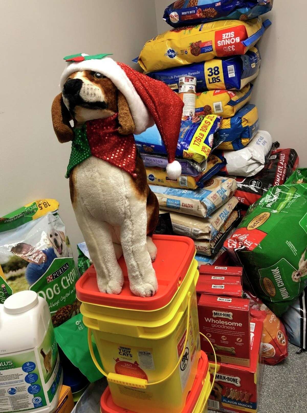 Animal shelter, welfare league thankful for holiday donations