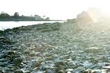 This mysterious Bay Area beach is covered in broken ceramics