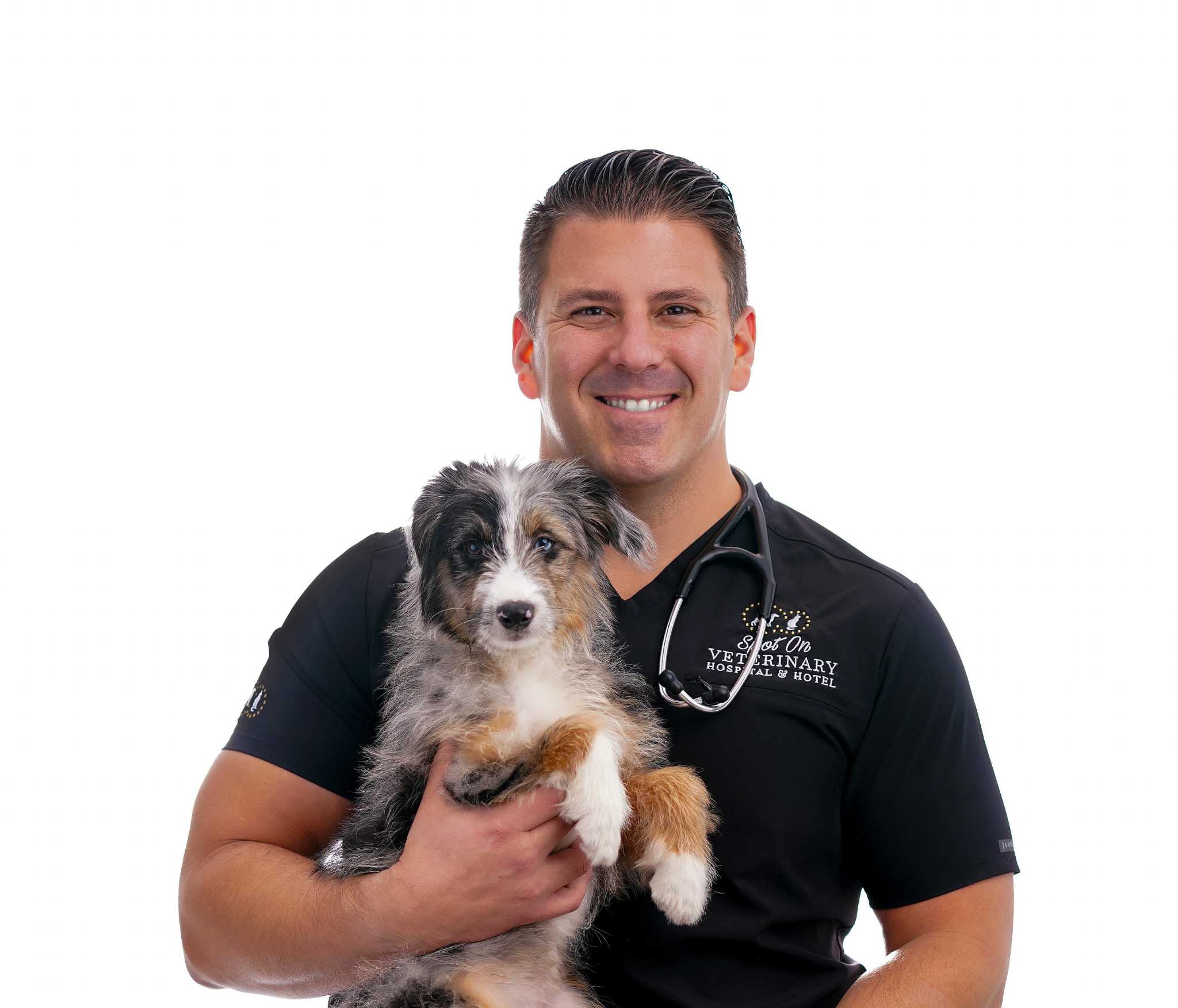 COVID keeping people home, vets busy