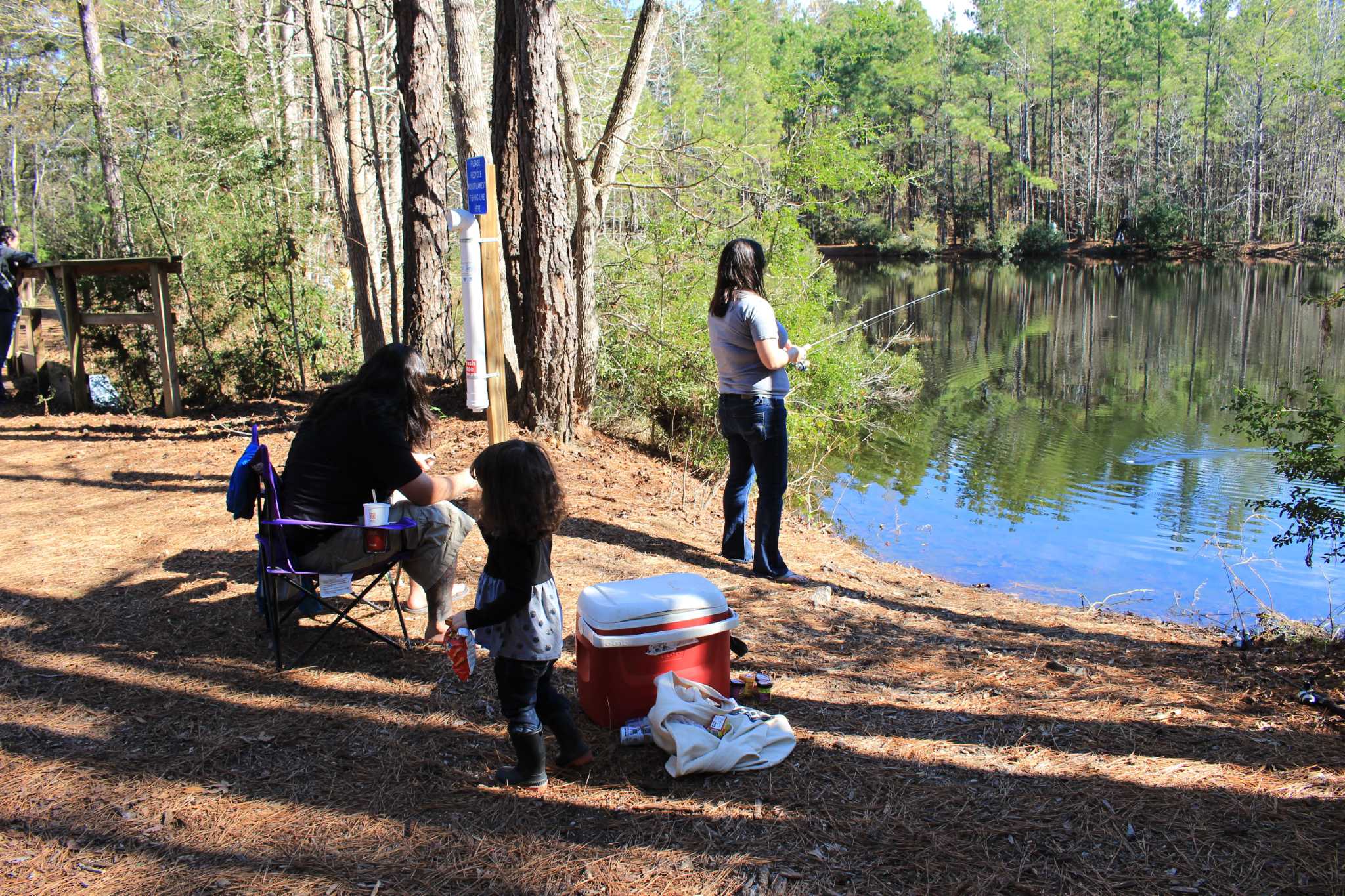 Harris County Precinct 4 parks receiving 7,500 rainbow trout for the winter