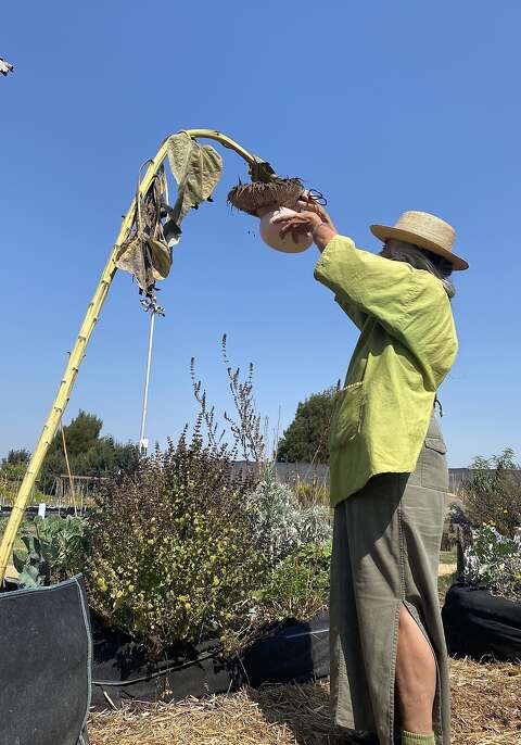 The Ohlone are building a new homeland in the East Bay, 1 half-acre at ...