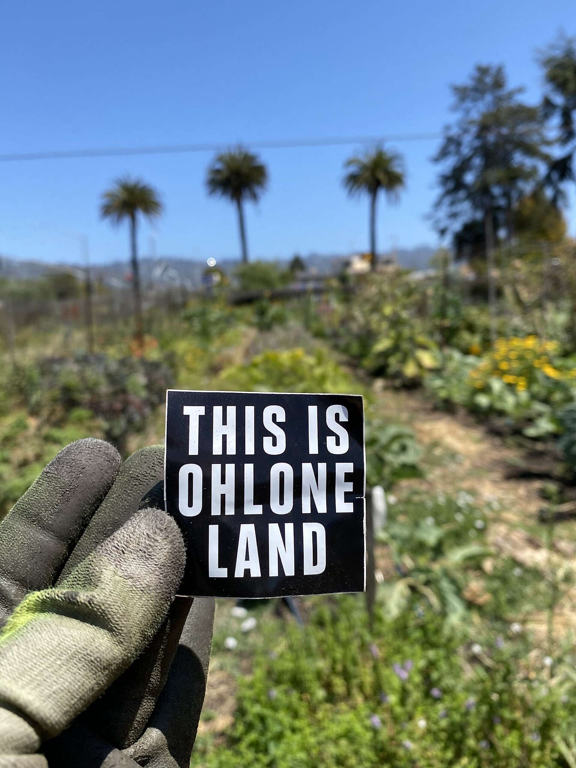 The Ohlone are building a new homeland in the East Bay, 1 half-acre at ...
