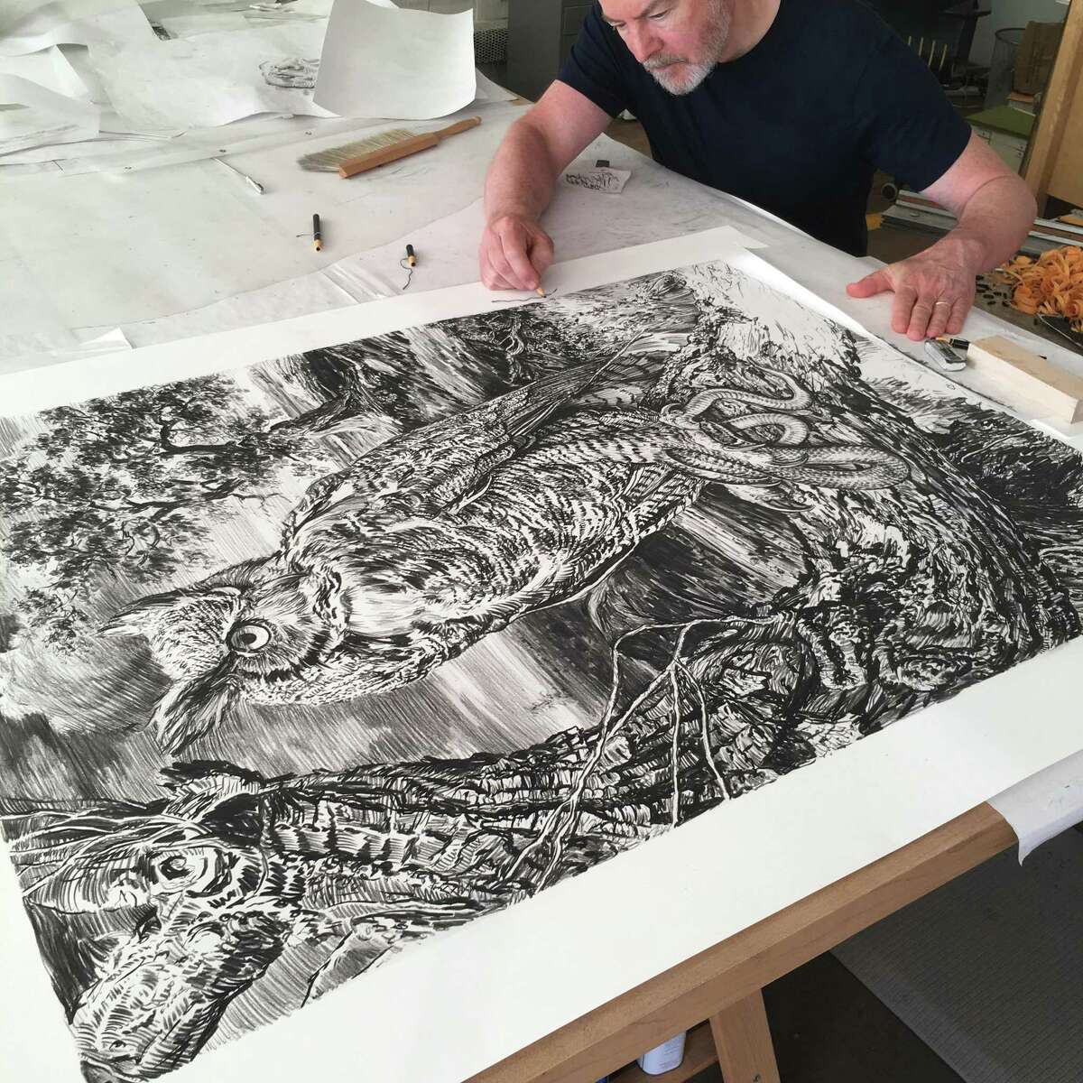 ‘Birds of the Northeast’ exhibit spotlights regional fowl at Fairfield ...