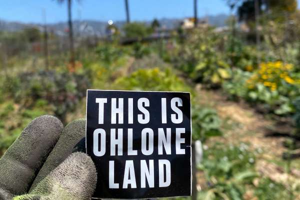 The Ohlone are building a new homeland in the East Bay, 1 half-acre at ...