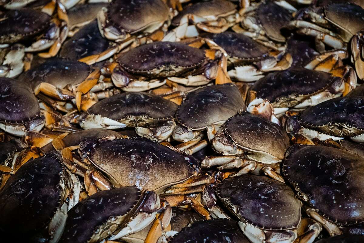 Dungeness crab is one-third of its usual supply in Bay Area. These ...