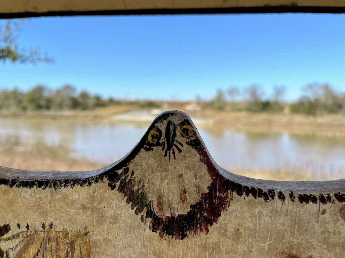 Houston's newest heroes are native ‘super trees’ with special eco-powers