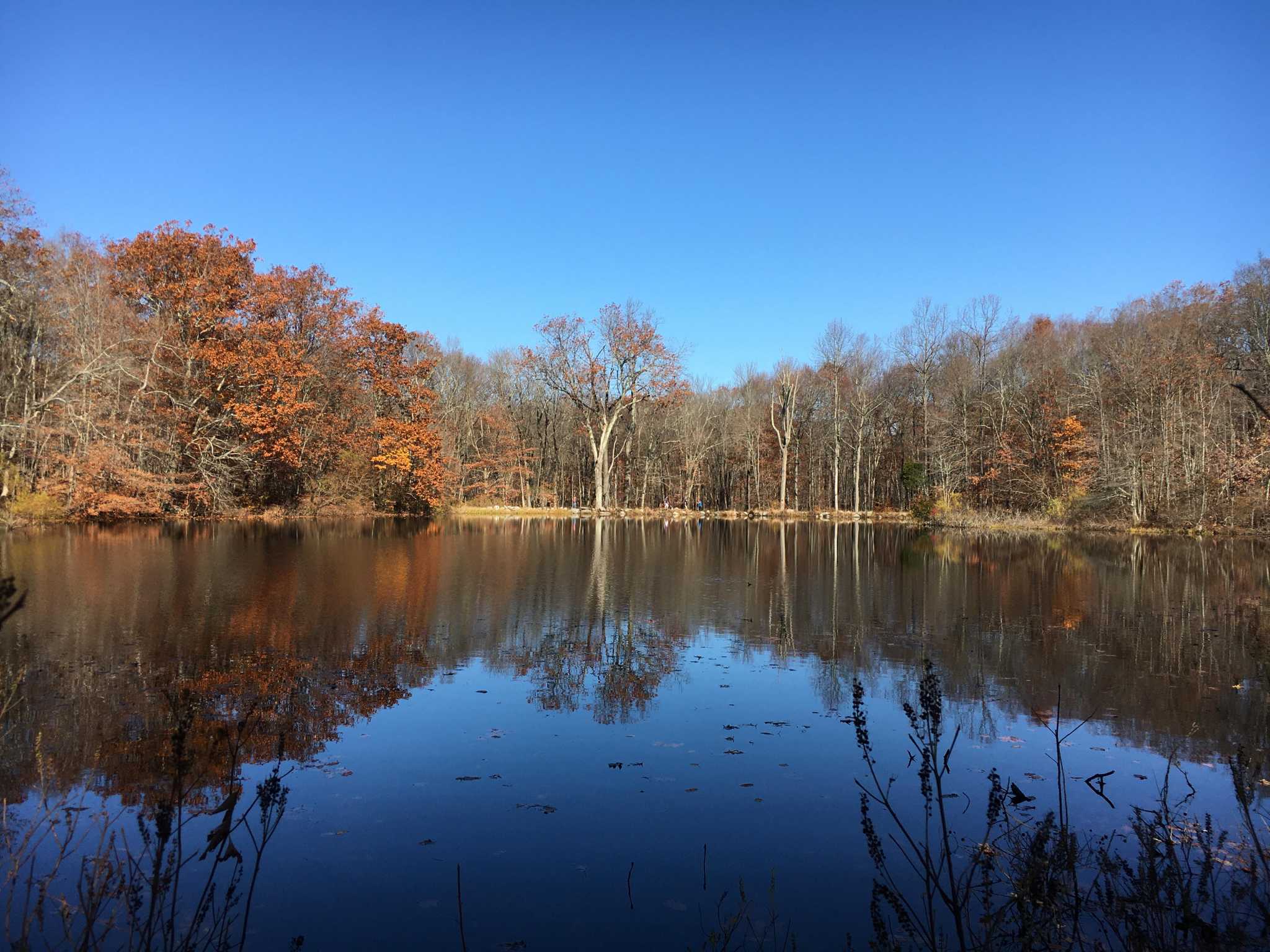 Weir Farm officially redesignated as CT’s first ‘National Historical Park’