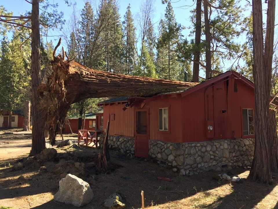 'It's like a bomb went off': Yosemite-area towns destroyed after ...