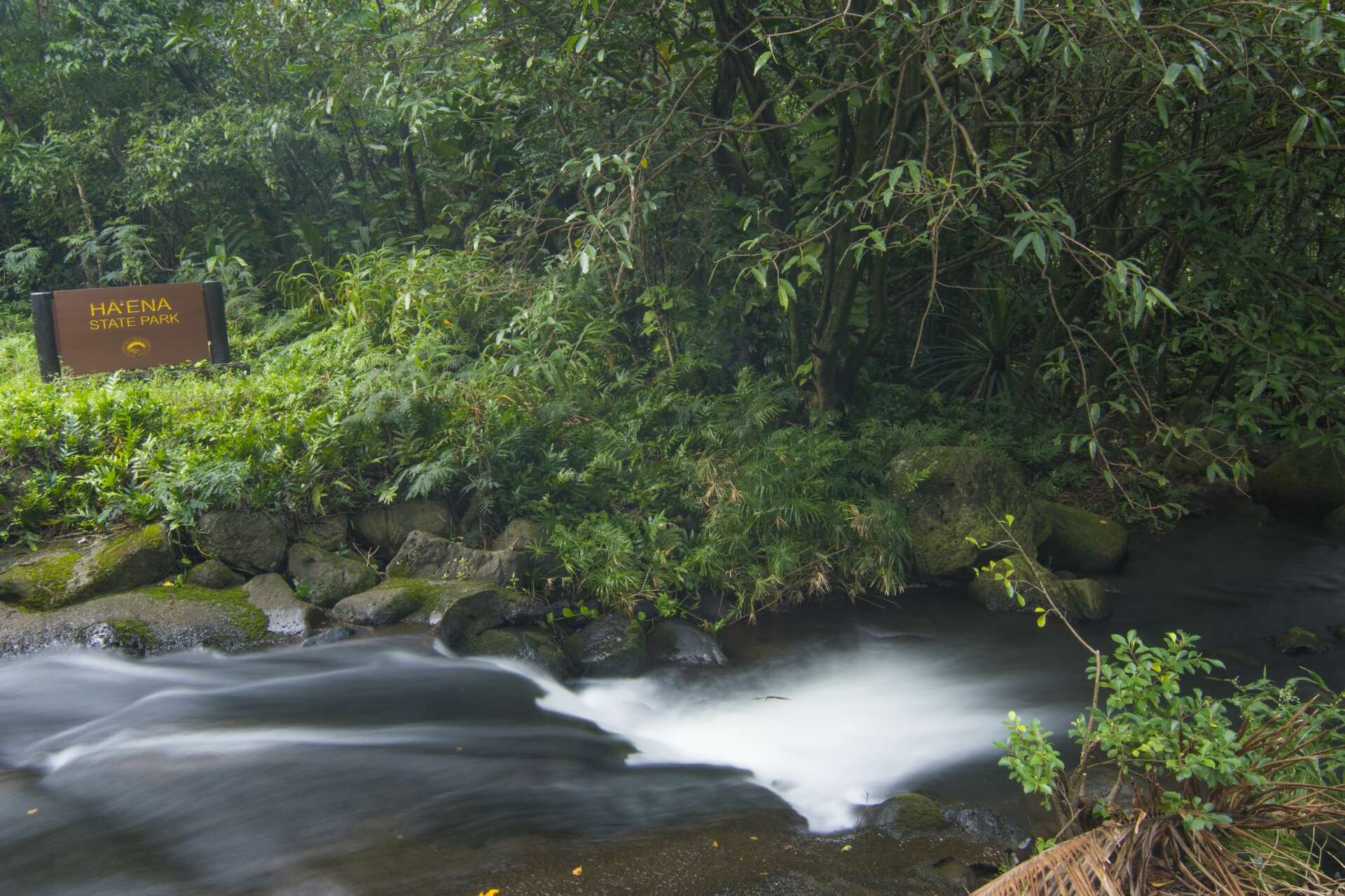 How Hawaii is trying to save Haena State Park, a Kauai tourist hotspot ...
