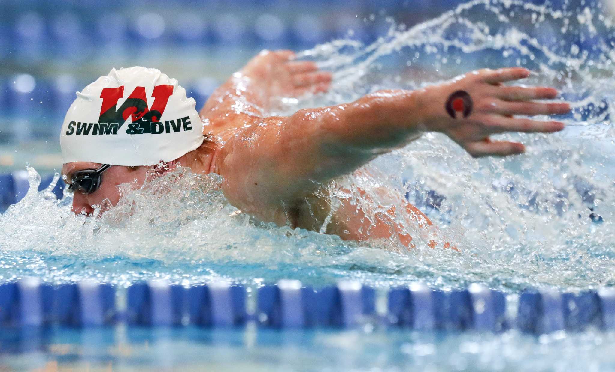 SWIMMING AND DIVING: The Woodlands sweeps District 13-6A titles