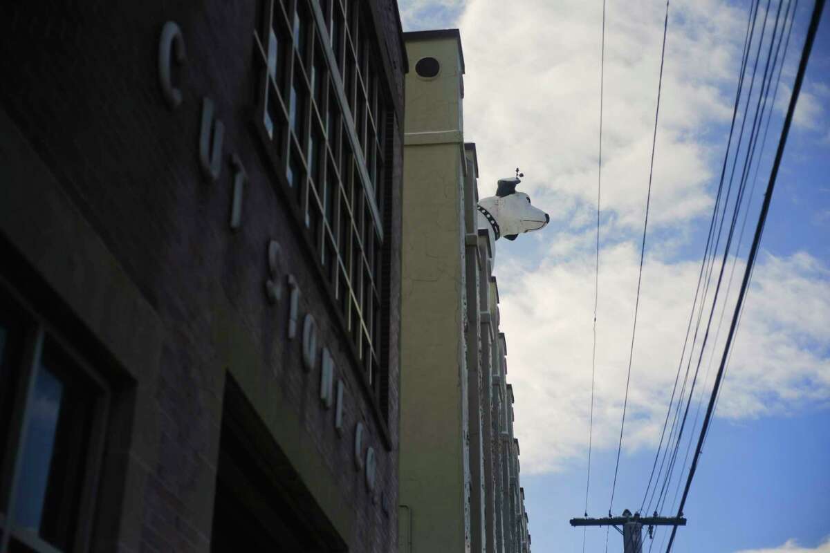 What will become of the house Nipper built in Albany?