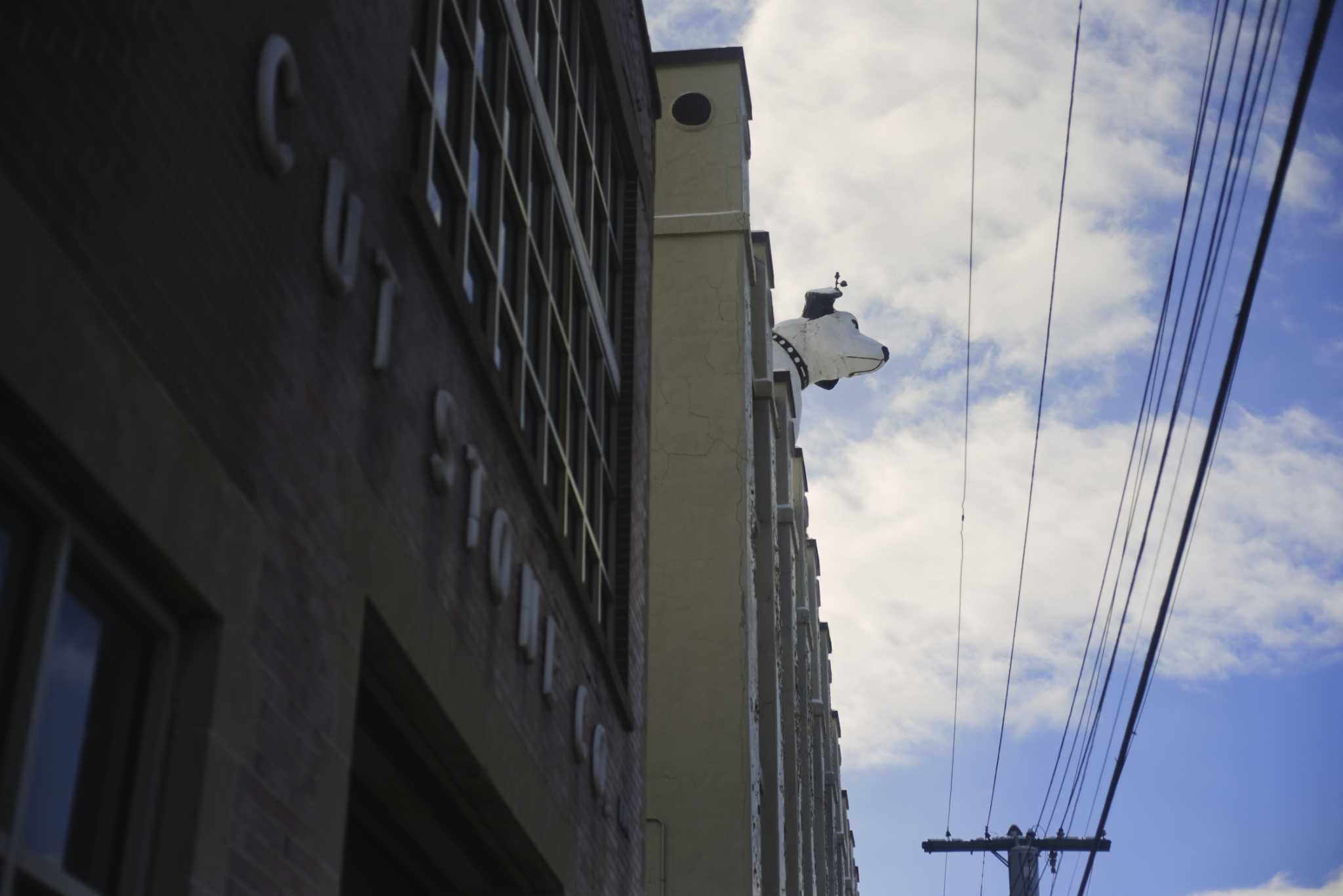 What will become of the house Nipper built in Albany?