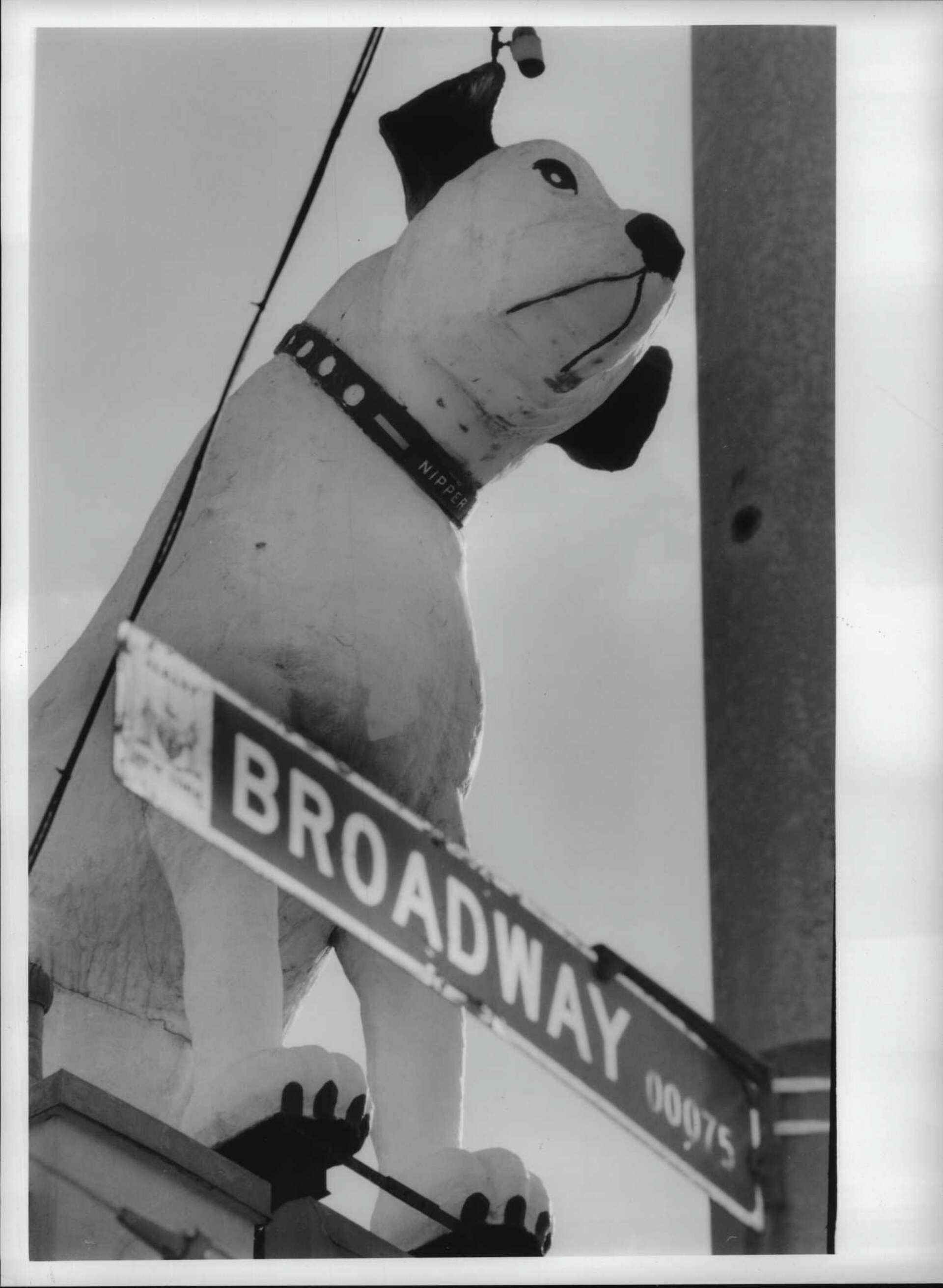 What will become of the house Nipper built in Albany?
