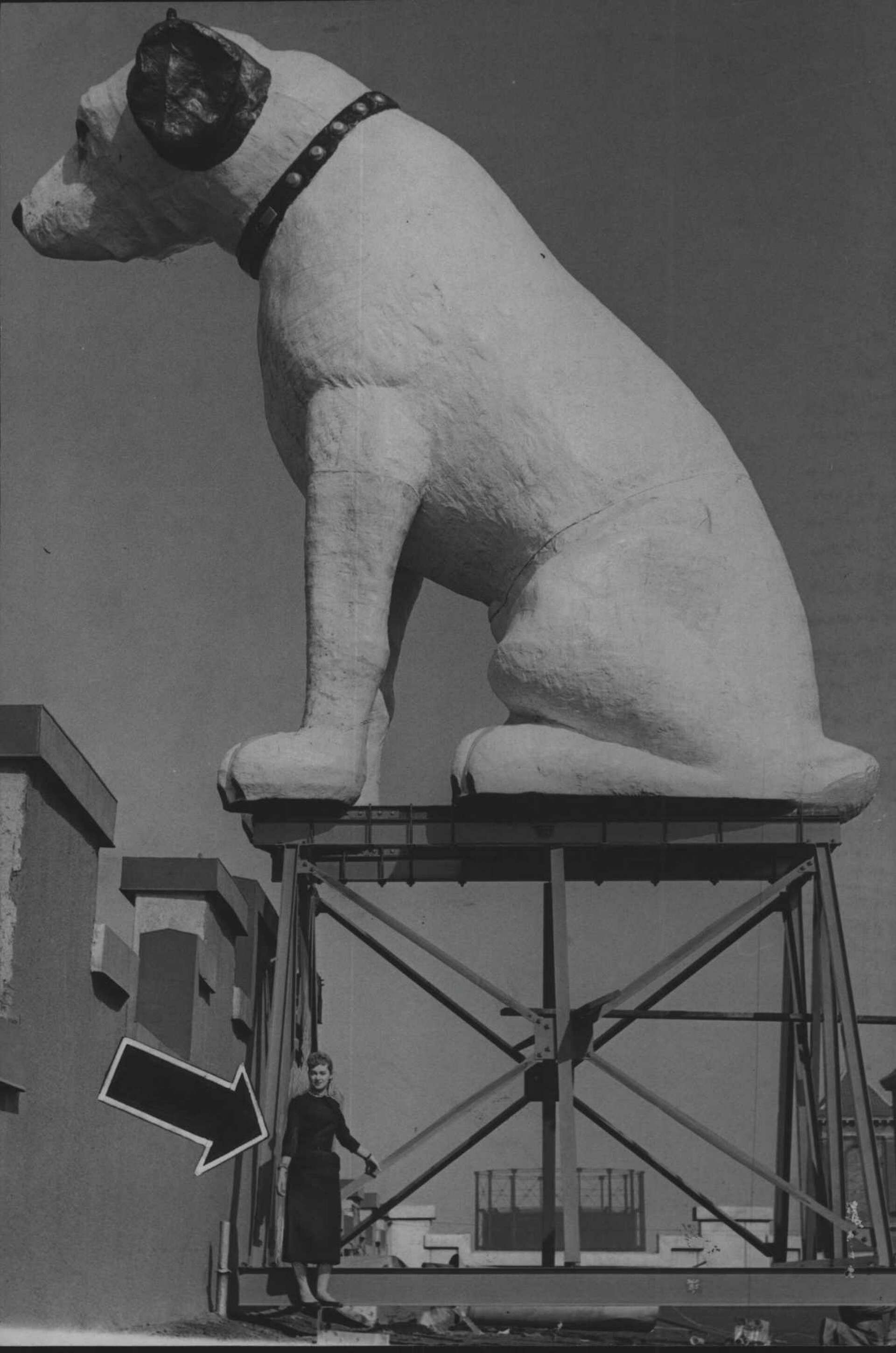 What will become of the house Nipper built in Albany?