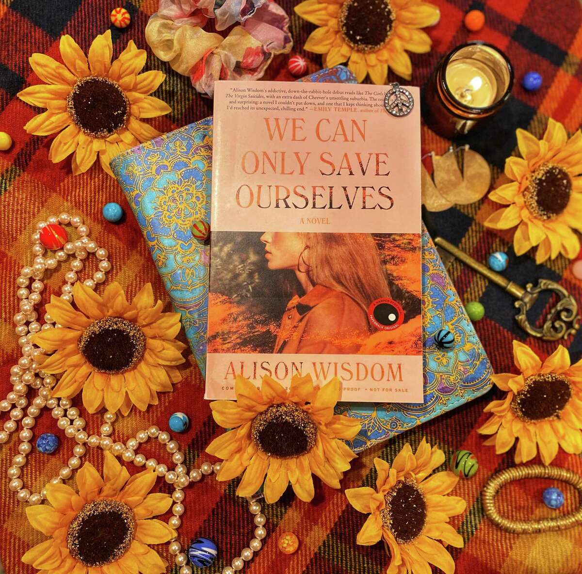 Novel Approach: So many books, so little time to review them all