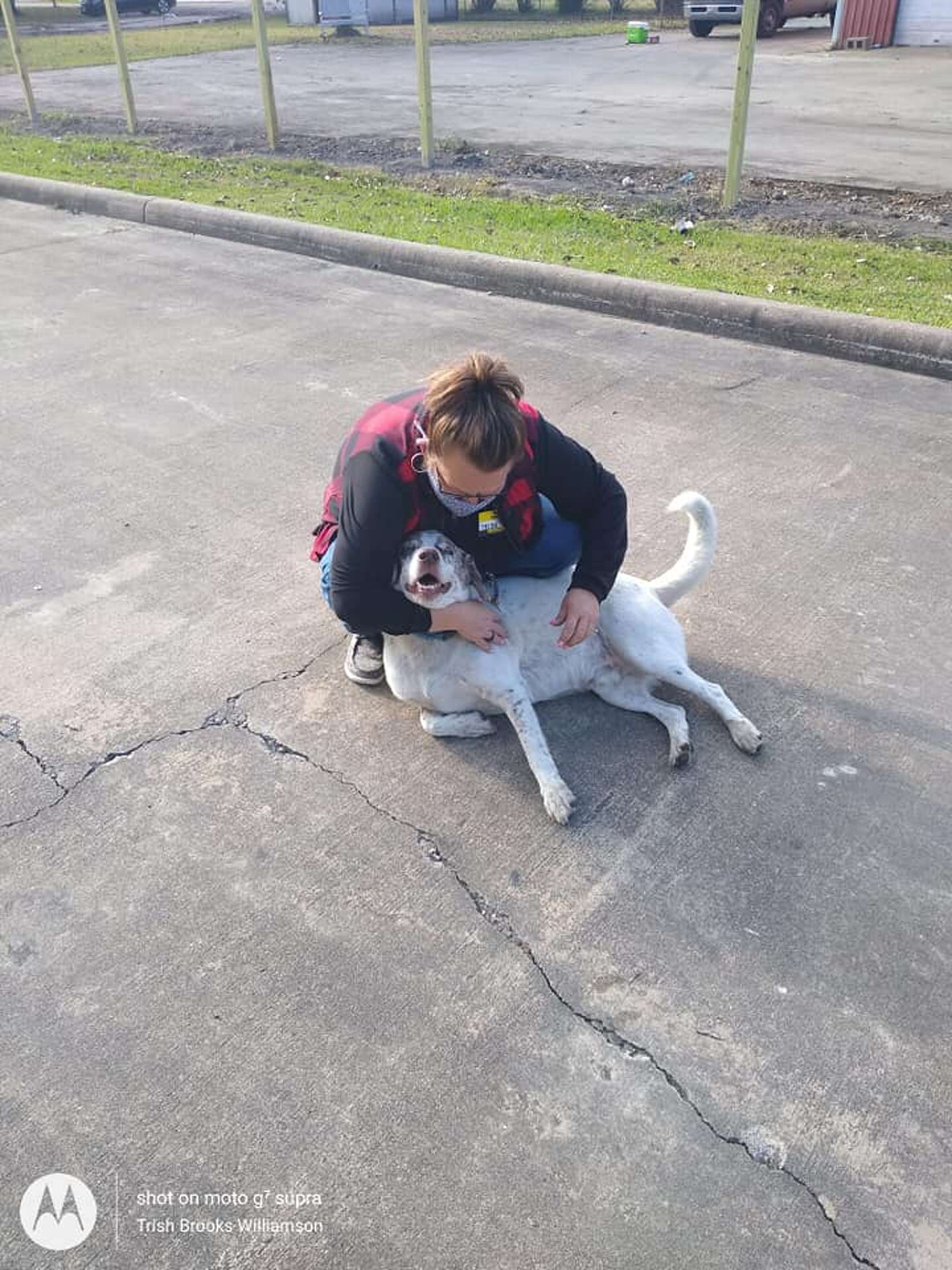 'He is our angel': Remembering Frank, a small Texas town's celebrity dog